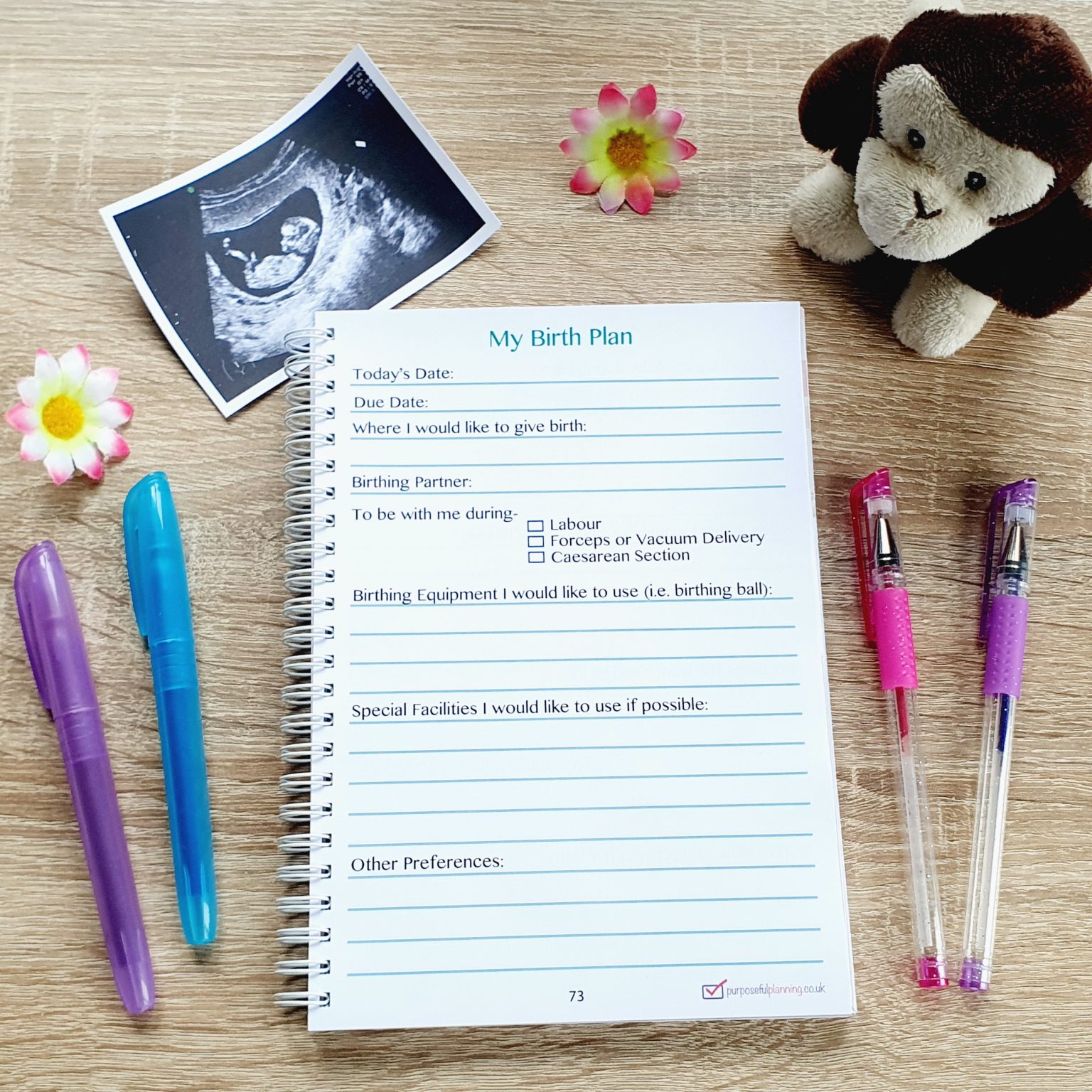 Pregnancy Diary Journal Book